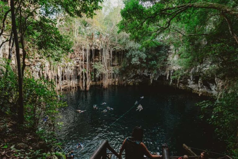 Merida: Explore With The One You Love, Day trip to Cenotes. - What Makes This Tour Stand Out?