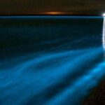 Merritt Island: Banana River, Canaveral Locks and Port Tour - The Experience in Real Terms