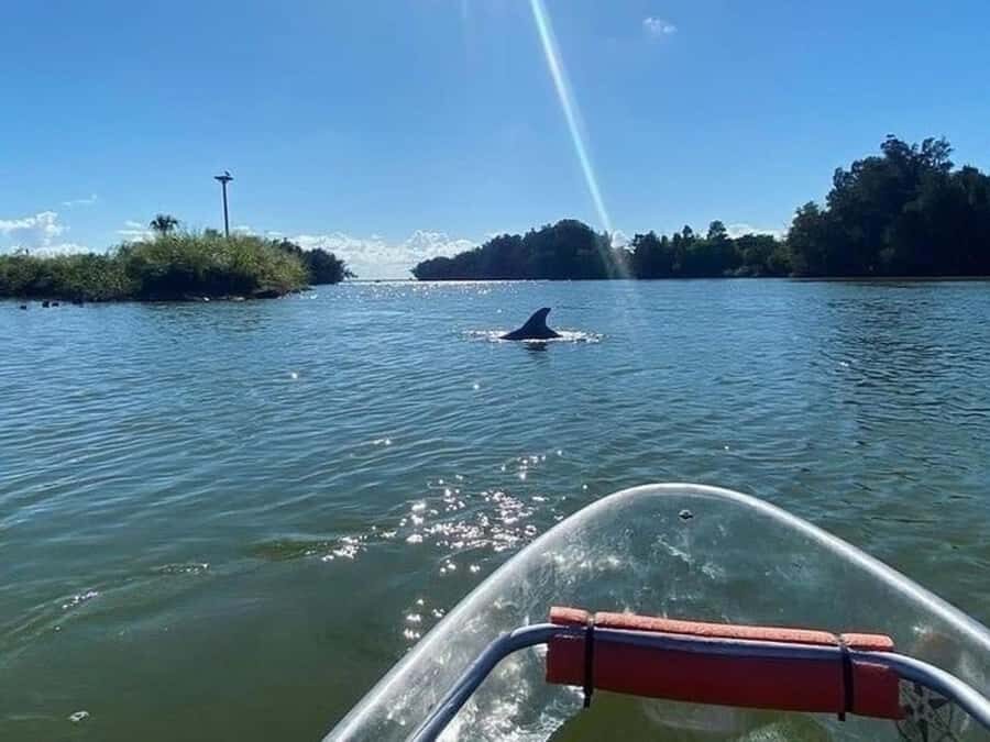 Merritt Island: Clear Kayak Wildlife Tour in National Refuge - The Practical Details: Booking, Cost, and Considerations