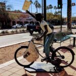Mesa Sculpture, Museum, Gardens & Dessert Trail - What the Tour Means for You