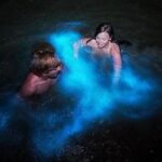 Mesmerizing Luminous Lagoon (Glistening Waters) Night Tour - Why It’s Worth the Price