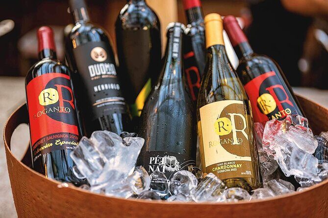 Mexican Wine Tasting & Aroma Sensory Experience - Why This Experience Offers Great Value