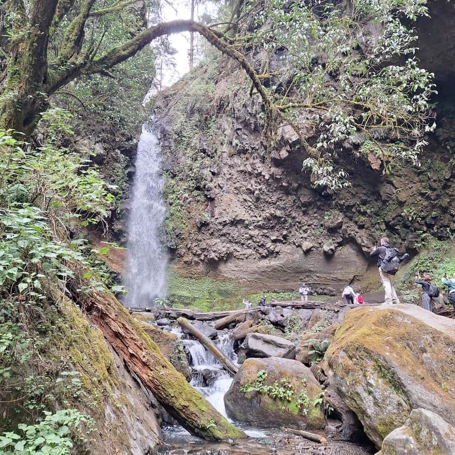 Mexico City: Bubble Waterfall Private Hike with Pickup - What Makes This Tour Stand Out?