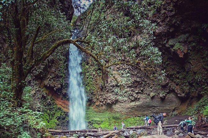 Mexico City: Bubble Waterfall Private Hike with Pickup - Why This Tour Might Be Right for You