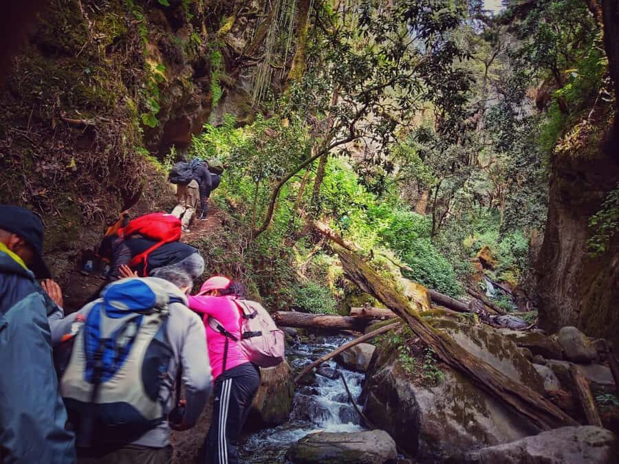Mexico City: Cascada de Hueyapan Private Hiking Tour - The Allure of Cascada de Hueyapan