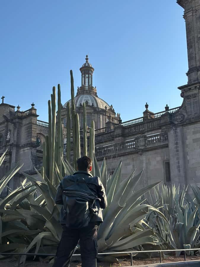 Mexico City: Downtown Walking Tour, a view from the past to the present - What Makes This Tour Stand Out?