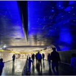 Mexico City: Fine Arts, Alabama Park, Science Museum Tour. - Exploring Mexico City Like a Local: The Metro Experience