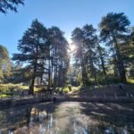 Mexico City: Nahualac Lagoon Private Hiking Tour - What We Loved and What to Consider