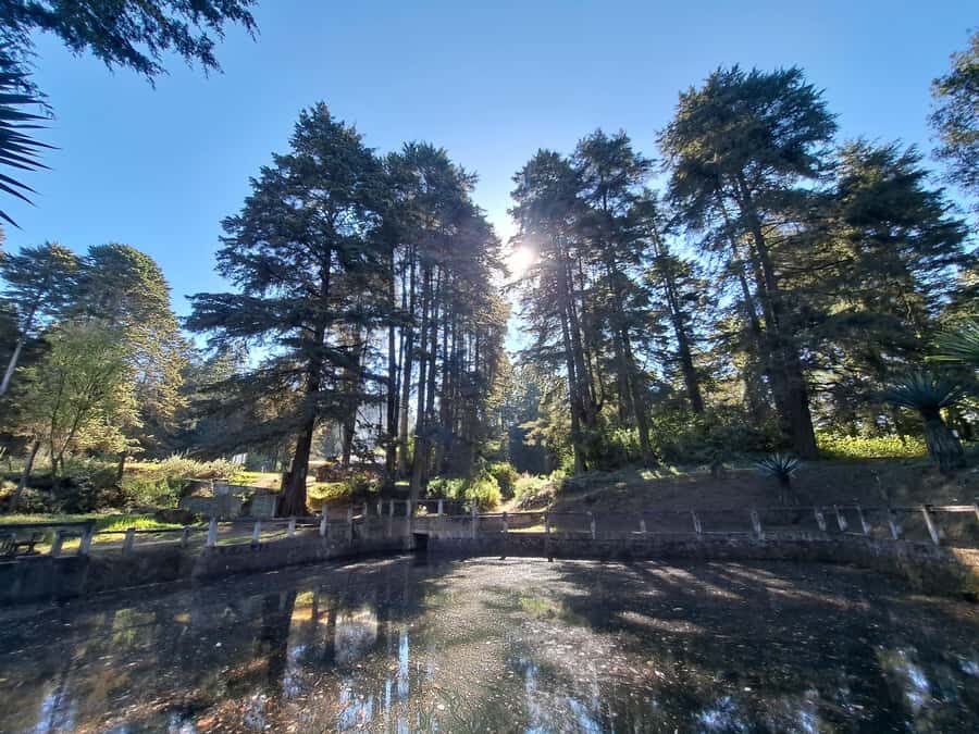 Mexico City: Nahualac Lagoon Private Hiking Tour - What We Loved and What to Consider