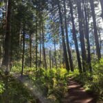 Mexico City: Nexcolango Lagoons Private Hiking Tour - What to Expect on the Nexcolango Lagoons Private Hiking Tour