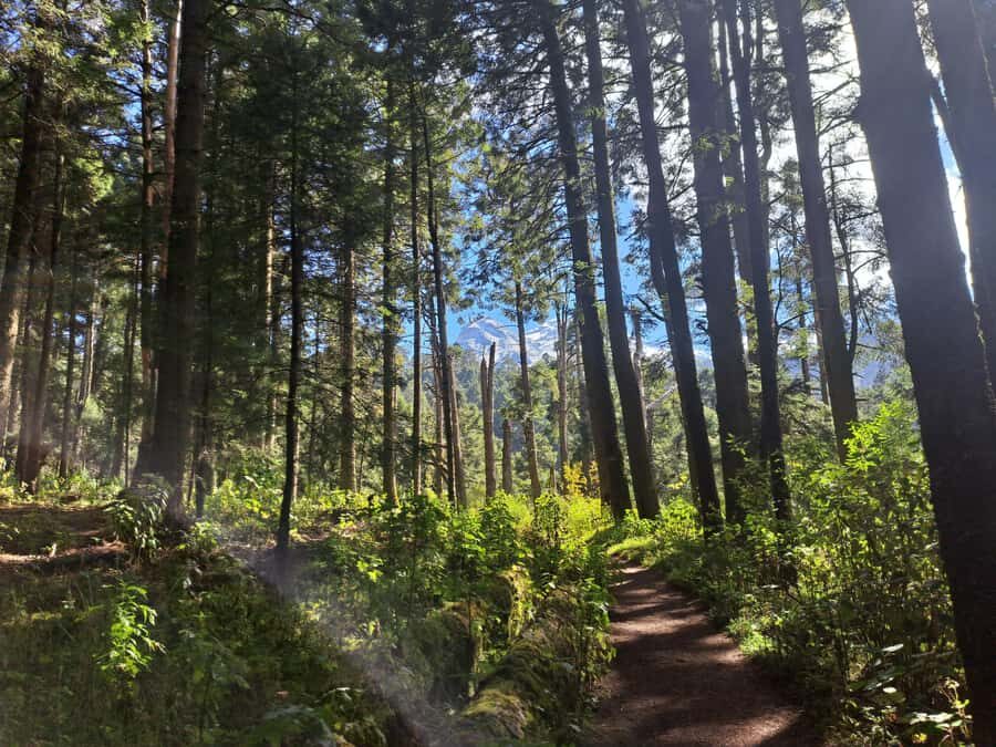 Mexico City: Nexcolango Lagoons Private Hiking Tour - What to Expect on the Nexcolango Lagoons Private Hiking Tour