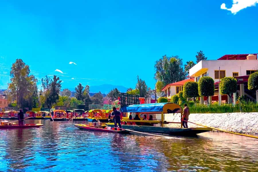 Mexico City: Party on a trajinera through Xochimilco with snacks, music, and drinks - The Experience: What to Expect During Your 135 Minutes