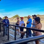 Mexico City: Teotihuacan Early Access Tour & Optional Lunch - The Breakdown of the Itinerary