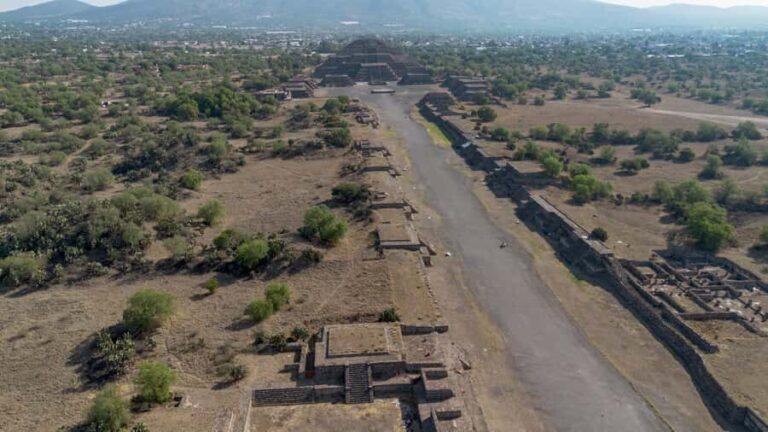 Mexico City: Teotihuacan Morning Half-Day Tour with Lunch - The Balance of Price and Value
