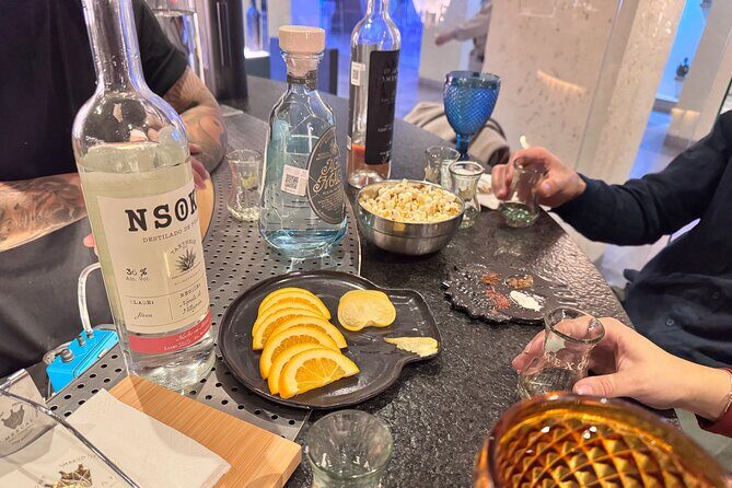 Mezcal Tasting Mexico City and Cocktail Masterclass - Who Should Book This Tour?