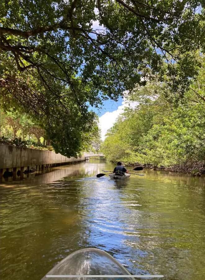 Miami Beach: Clear Kayak Tour or LED Glow Kayak Experience - Who Should Consider This Tour?