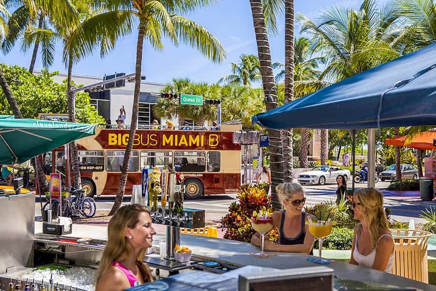 Miami Bundle: Everglades, Boat Cruise & Open-Top Bus Tour - Who Should Consider This Tour?