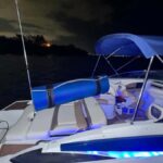 Miami: Celebrity mansions home tour & Private island charter - Who Will Enjoy This Tour?