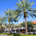 Miami: Coconut Grove & Coral Gables Private Tour - The Experience: What Travelers Say and Why It Works