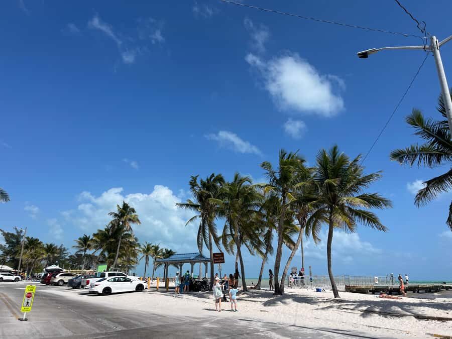 Miami: Day Tour of the Keys in a Convertible Mustang (French) - What Makes This Tour Stand Out?