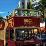 Miami: Film and TV Tour with Vizcaya Museum Entry - FAQs