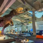 Miami: Frost Museum of Science and Planetarium Entry Ticket - Who Should Visit?