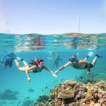 Miami/Ft Lauderdale: Bimini or Grand Bahama Day Trip - What Travelers Say