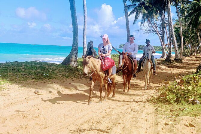 Miches Beach Horseback Riding - The Practical Side: Price, Duration, and Logistics