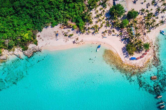 Miches Catamaran Boat to Saona Island with Buffet Lunch - Who Will Love This Tour?