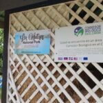 Miches: Los Haitises, Transfer, Walking & Boat tour. - Practical Details and Value