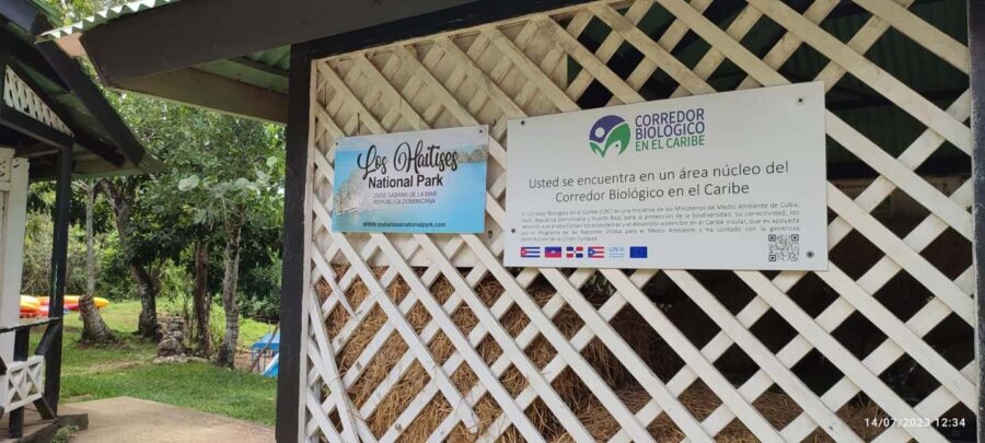 Miches: Los Haitises, Transfer, Walking & Boat tour. - Practical Details and Value