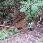 Middleham Falls Hike and Ti'tou Gorge Half-Day Excursion - The Sum Up