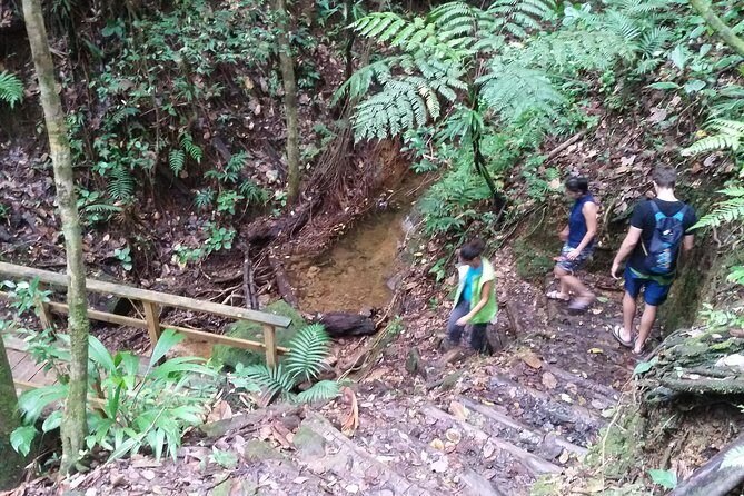 Middleham Falls Hike and Ti'tou Gorge Half-Day Excursion - The Sum Up