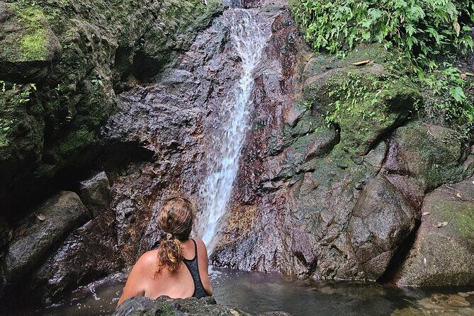 Mindfulness Rainforest Hike, Forest Bathing, Volcanic Hot Springs - Who Will Love This Tour?