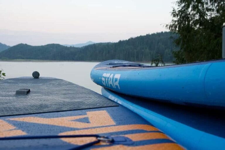 Mineral Lake: Stand Up Paddle Board Rental - Why This SUP Rental Is a Great Choice