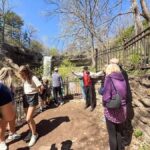 Minneapolis: Minnehaha Falls Trolley Ride - Why This Tour Works for Different Travelers