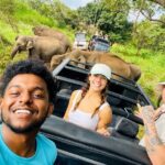 Minneriya Elephant Safari with Driver and Guide - A Closer Look at the Safari Experience