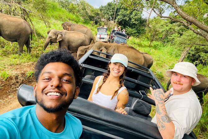 Minneriya Elephant Safari with Driver and Guide - A Closer Look at the Safari Experience