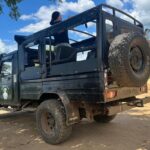 Minneriya National Park Elephant Safari from Sigiriya - What the Reviews Tell Us