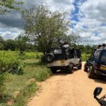 Minneriya National Park Elephant Safari Tour - Price and Value: Is It Worth It?