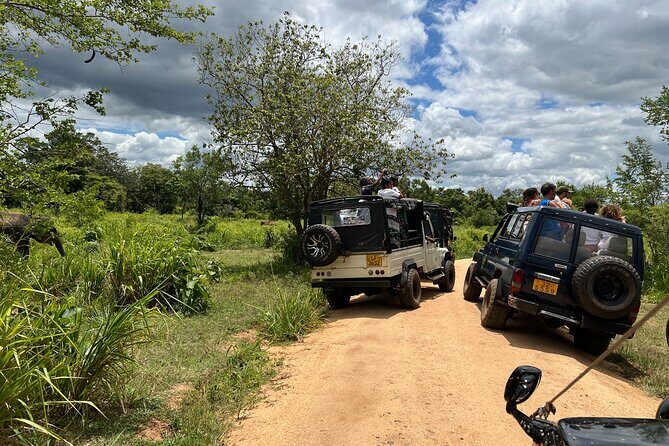 Minneriya National Park Elephant Safari Tour - Price and Value: Is It Worth It?