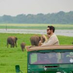 Minneriya National Park: Private 4x4 Elephant Safari - Who Would Enjoy This Tour?