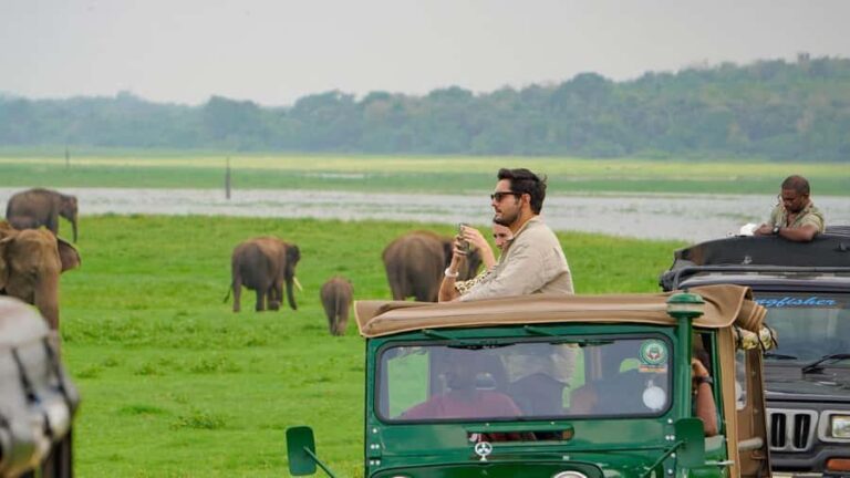 Minneriya National Park: Private 4x4 Elephant Safari - Who Would Enjoy This Tour?