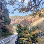 Minoh Falls & Katsuoji Temple Half Day E-Bike Tour - The Ride to Minoh and the Mountain Ascent