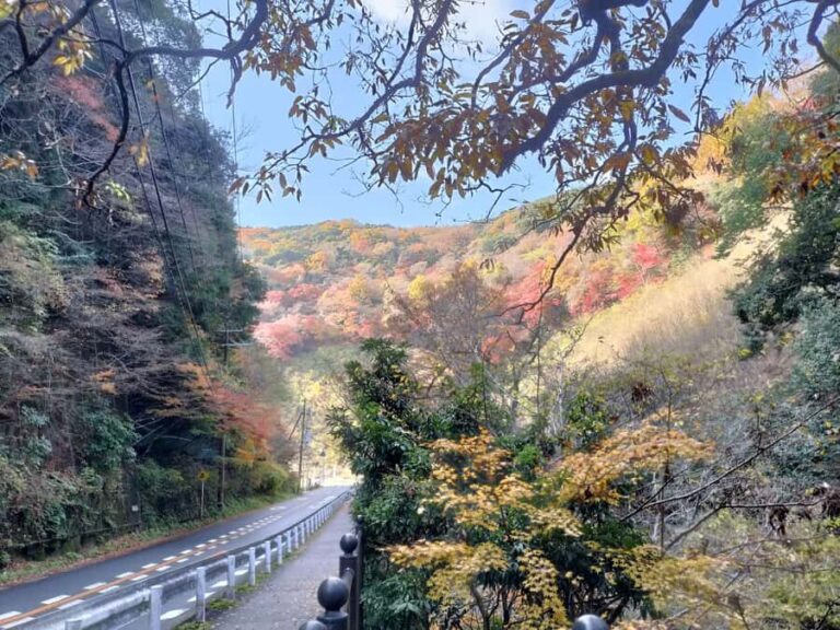 Minoh Falls & Katsuoji Temple Half Day E-Bike Tour - The Ride to Minoh and the Mountain Ascent