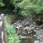 Minoh Waterfall and nature walk through the Minoh Park - Why This Tour Offers Great Value