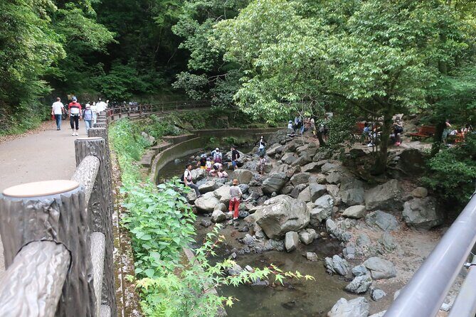 Minoh Waterfall and nature walk through the Minoh Park - Why This Tour Offers Great Value
