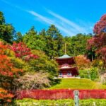 Minoo Falls, Arashiyama Bamboo Forest and Todai-ji Temple Tour - Practical Details and Considerations