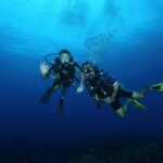 Mirissa : Guided Scuba Diving Experience with Coral - The Experience: What to Expect