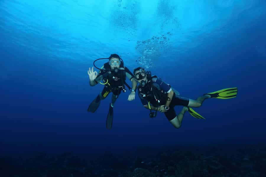 Mirissa : Guided Scuba Diving Experience with Coral - The Experience: What to Expect